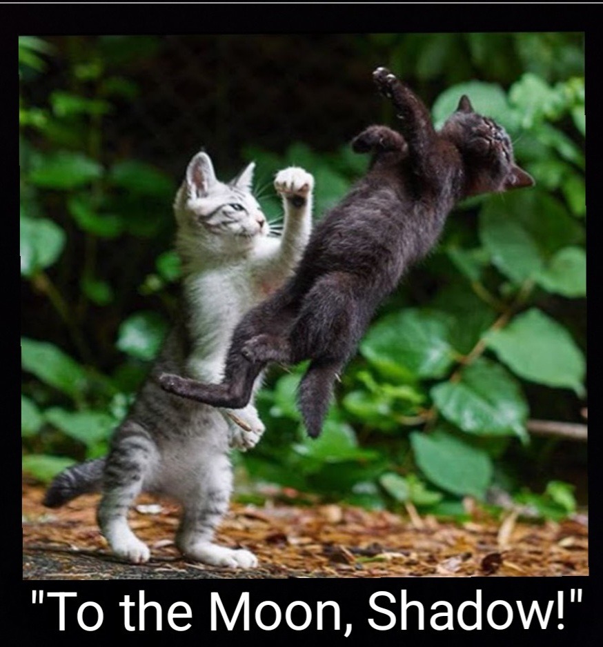 Latest memes / New memes :) Memedroid