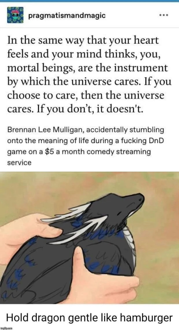 Latest memes / New memes :) Memedroid