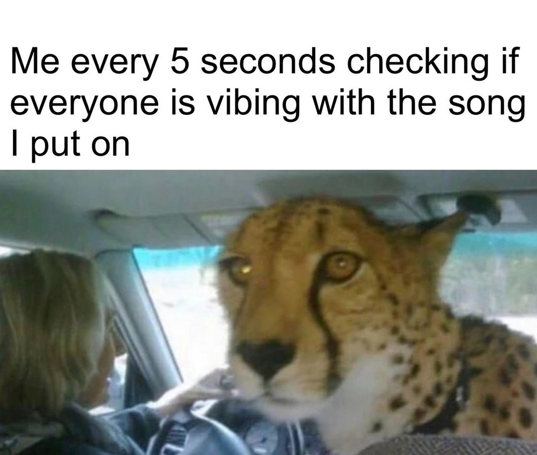 The best Cheetah memes :) Memedroid