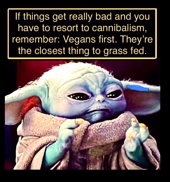 Memedroid - The best site to see, rate and share funny memes and pics!