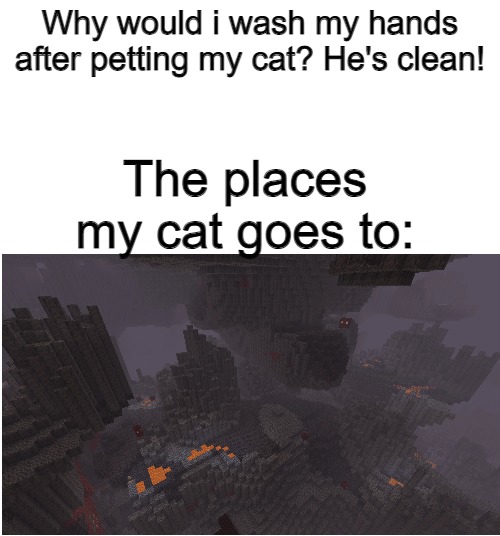 THe places my cat goest to - Meme by KARGETER :) Memedroid