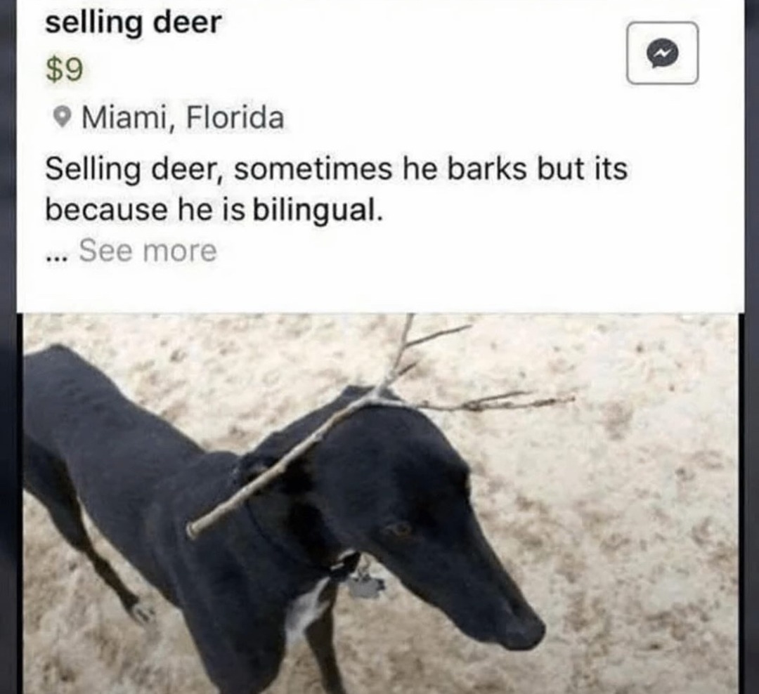 The best Deer memes :) Memedroid