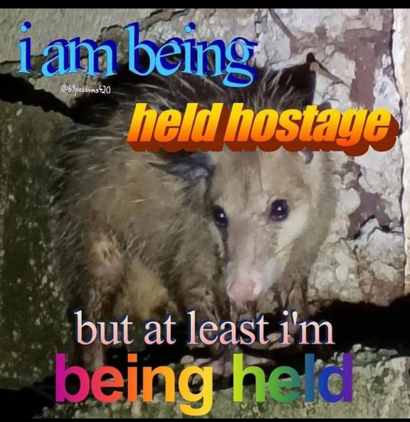 B - Meme by pineaapple :) Memedroid