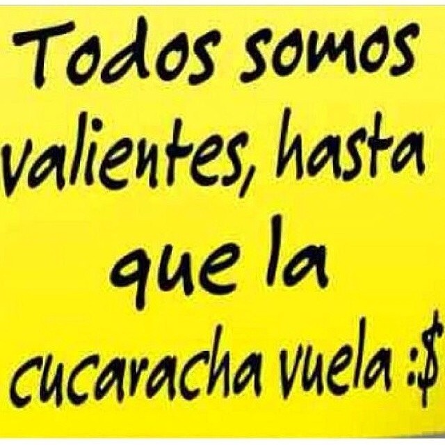 Memes Del Valiente Valiente #Valiente