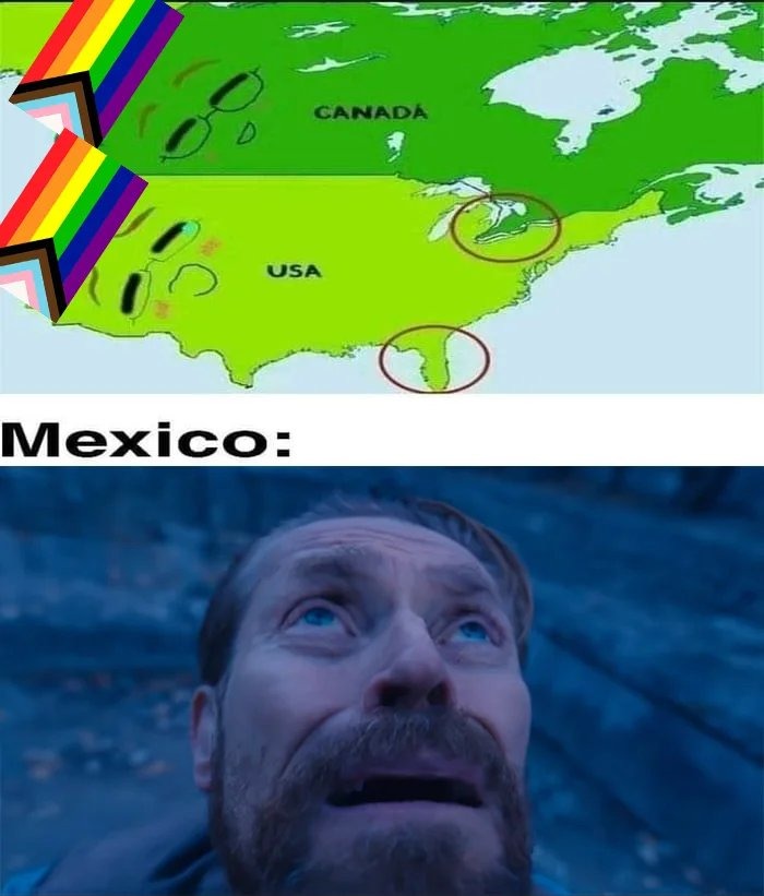 Latest memes / New memes :) Memedroid