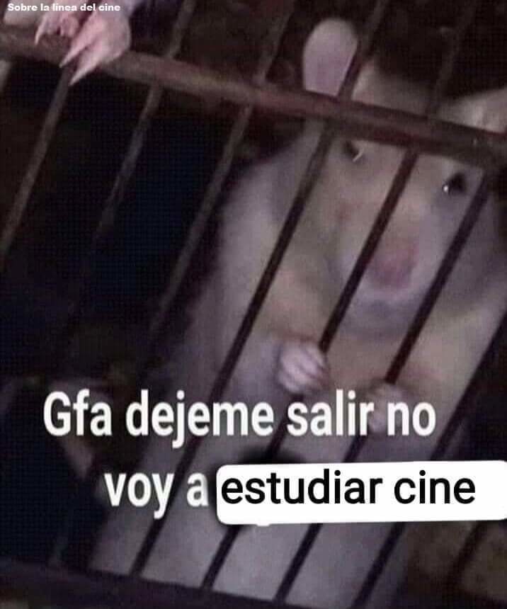 Los Últimos Memes :) Memedroid