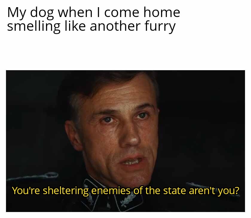 Latest memes / New memes :) Memedroid