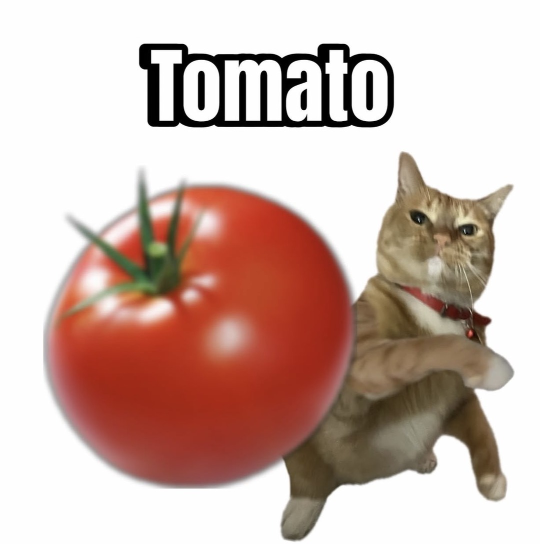 The best Tomato memes :) Memedroid