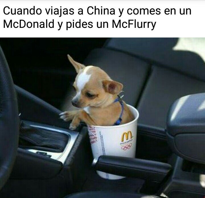 Rikolino papu (sigueme y te sigo) - Meme subido por VicentMT :) Memedroid