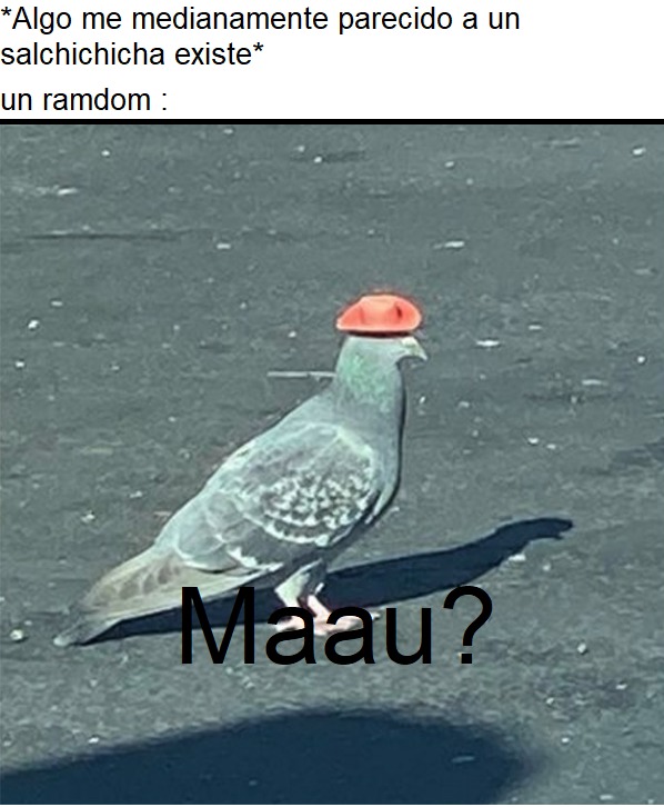 Maau? - Meme subido por Sr.Piglin :) Memedroid