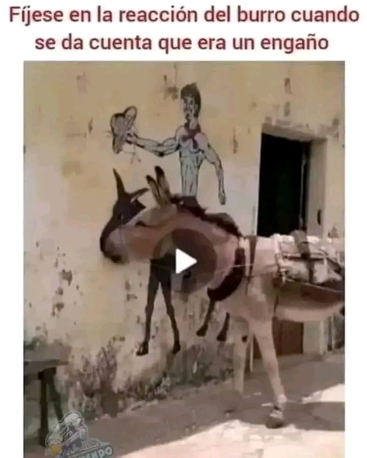 Los Últimos Memes :) Memedroid