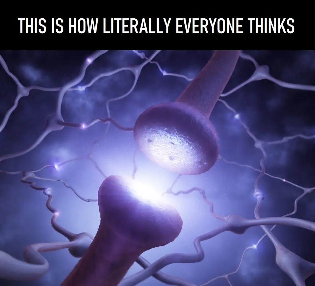 This is literally how everyone thinks - Meme by schizoidman :) Memedroid