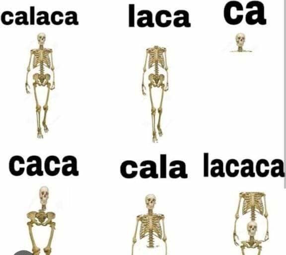 Los Últimos Memes :) Memedroid