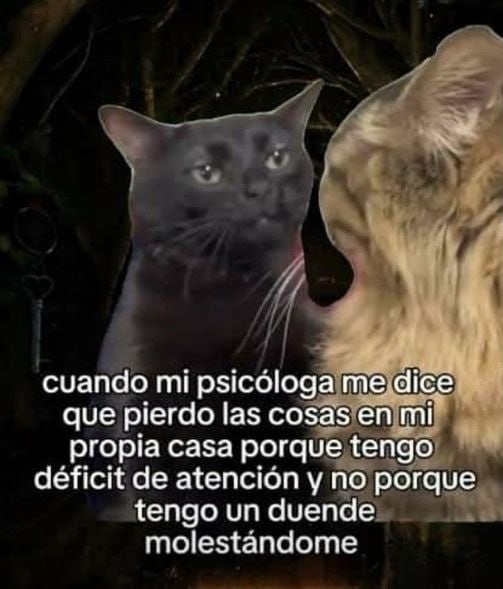 Top memes de Psicología en español :) Memedroid