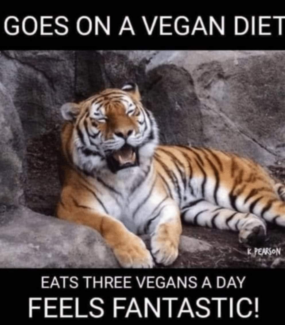 Tiger - Meme by HANDSOME-DUCK :) Memedroid