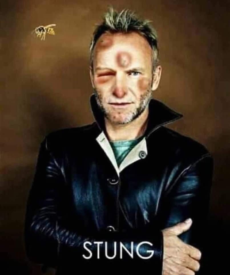 Stung - Meme by RADFROOD25 :) Memedroid