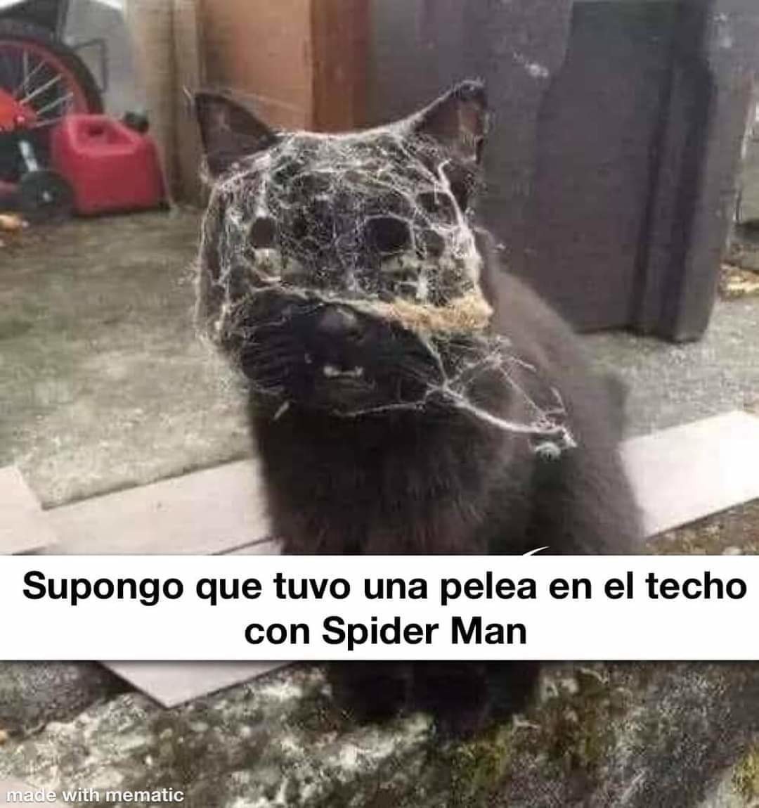 Los Últimos Memes :) Memedroid