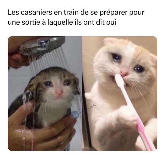 Les meilleurs mèmes Français :) Memedroid