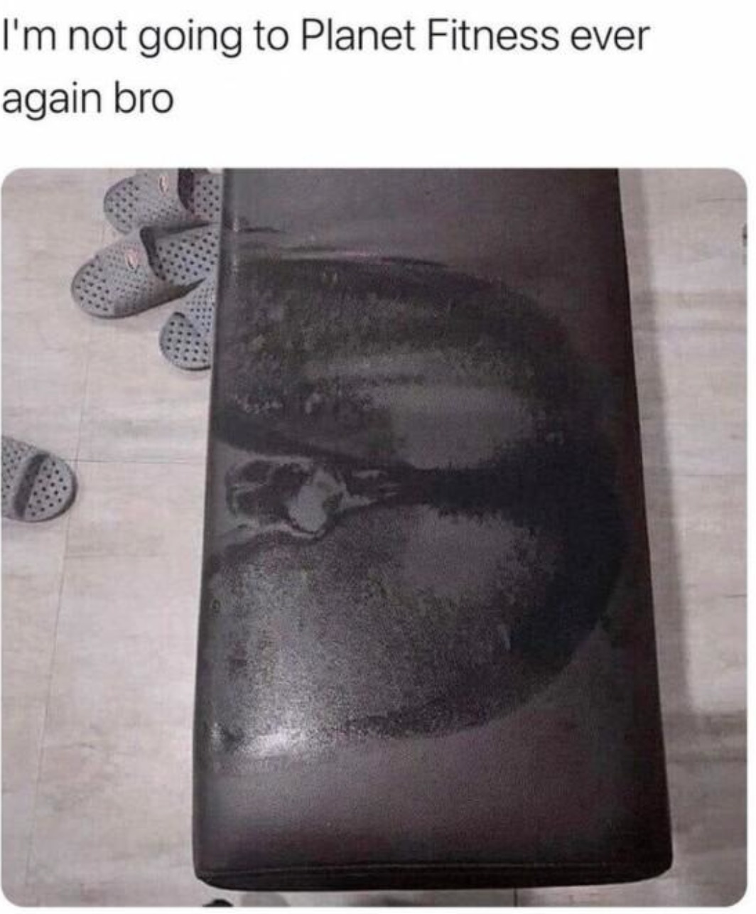 wth - Meme subido por Yeet123456789 :) Memedroid