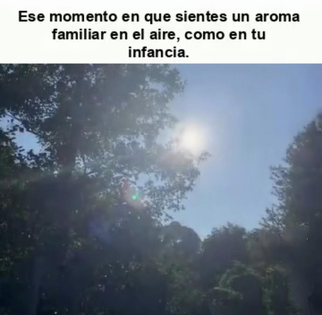 Los Últimos Memes :) Memedroid