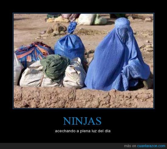 Ninjas - Meme subido por davidgc :) Memedroid