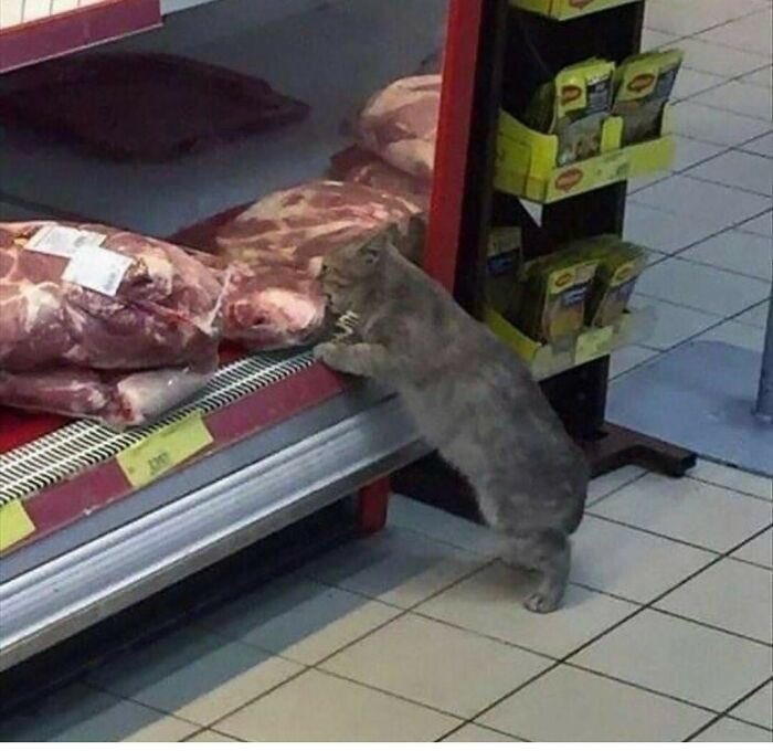 Top memes de Robando en español :) Memedroid