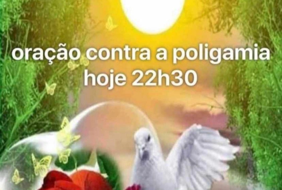 The Latest Memes :) Memedroid