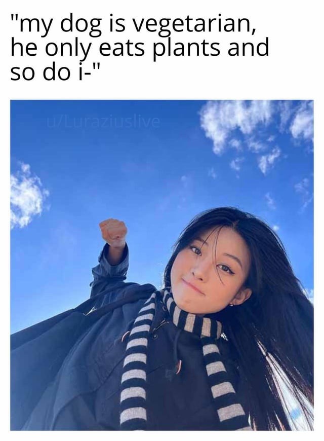 The best Vegetarian memes :) Memedroid