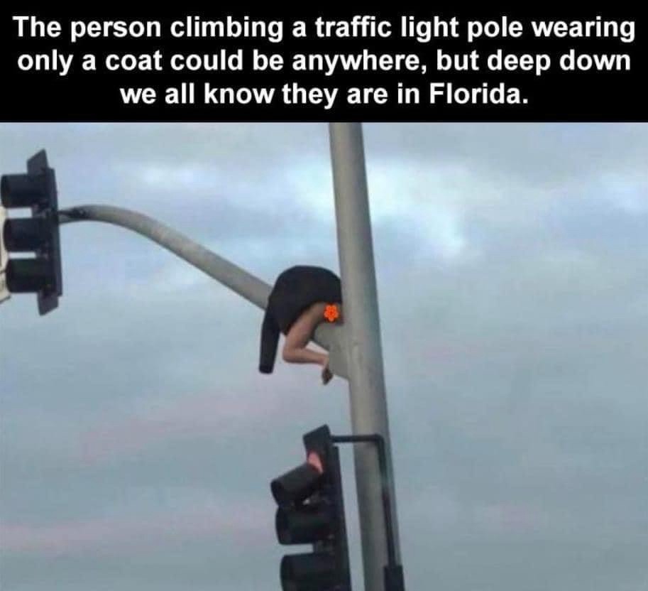 The best Florida memes :) Memedroid
