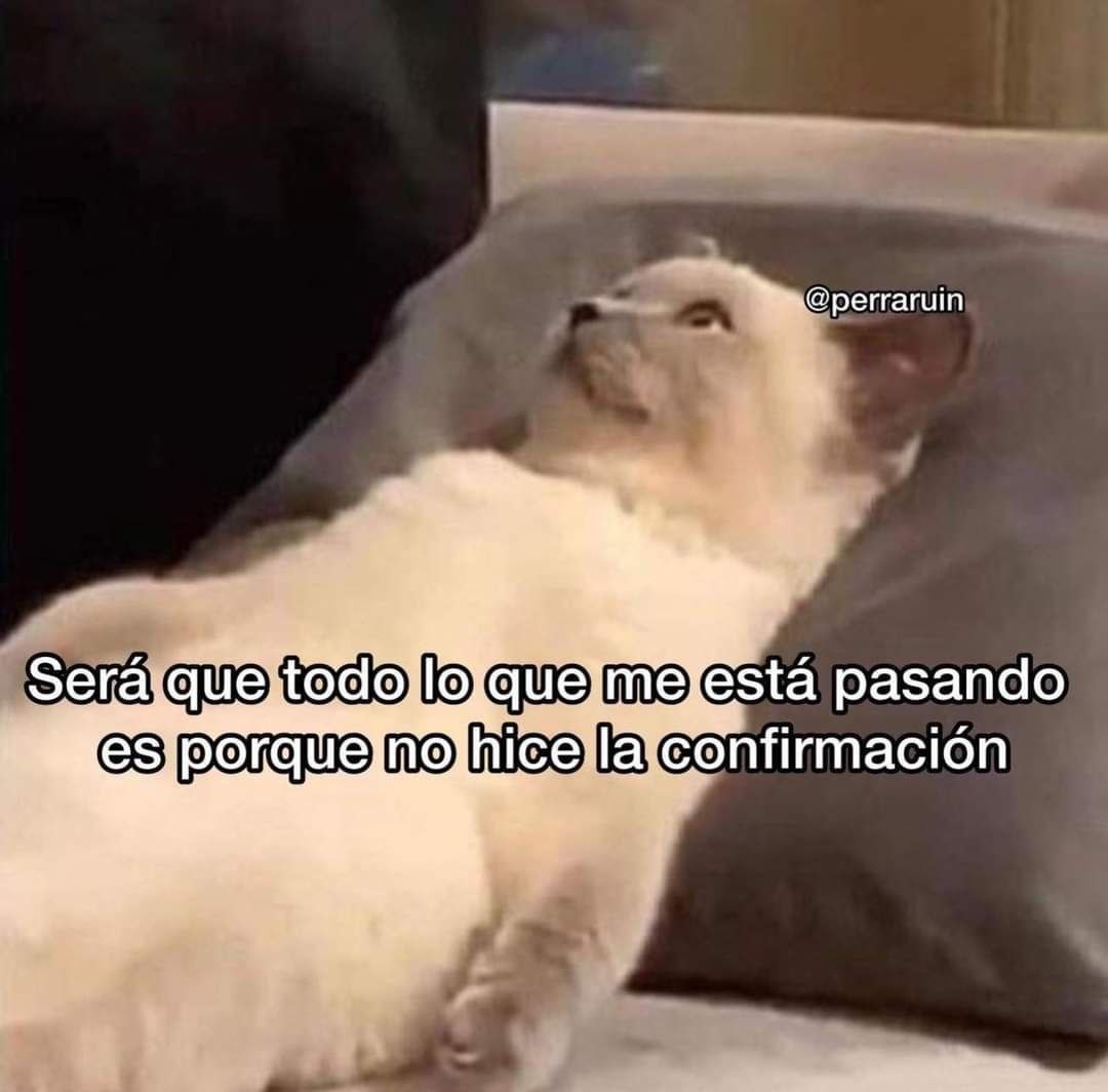 Top memes de Confirmación en español :) Memedroid