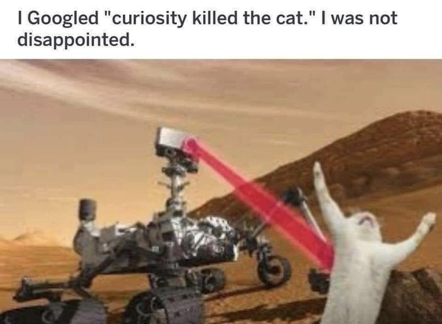 Curiosity killed the cat - Meme by DLAPHINT :) Memedroid
