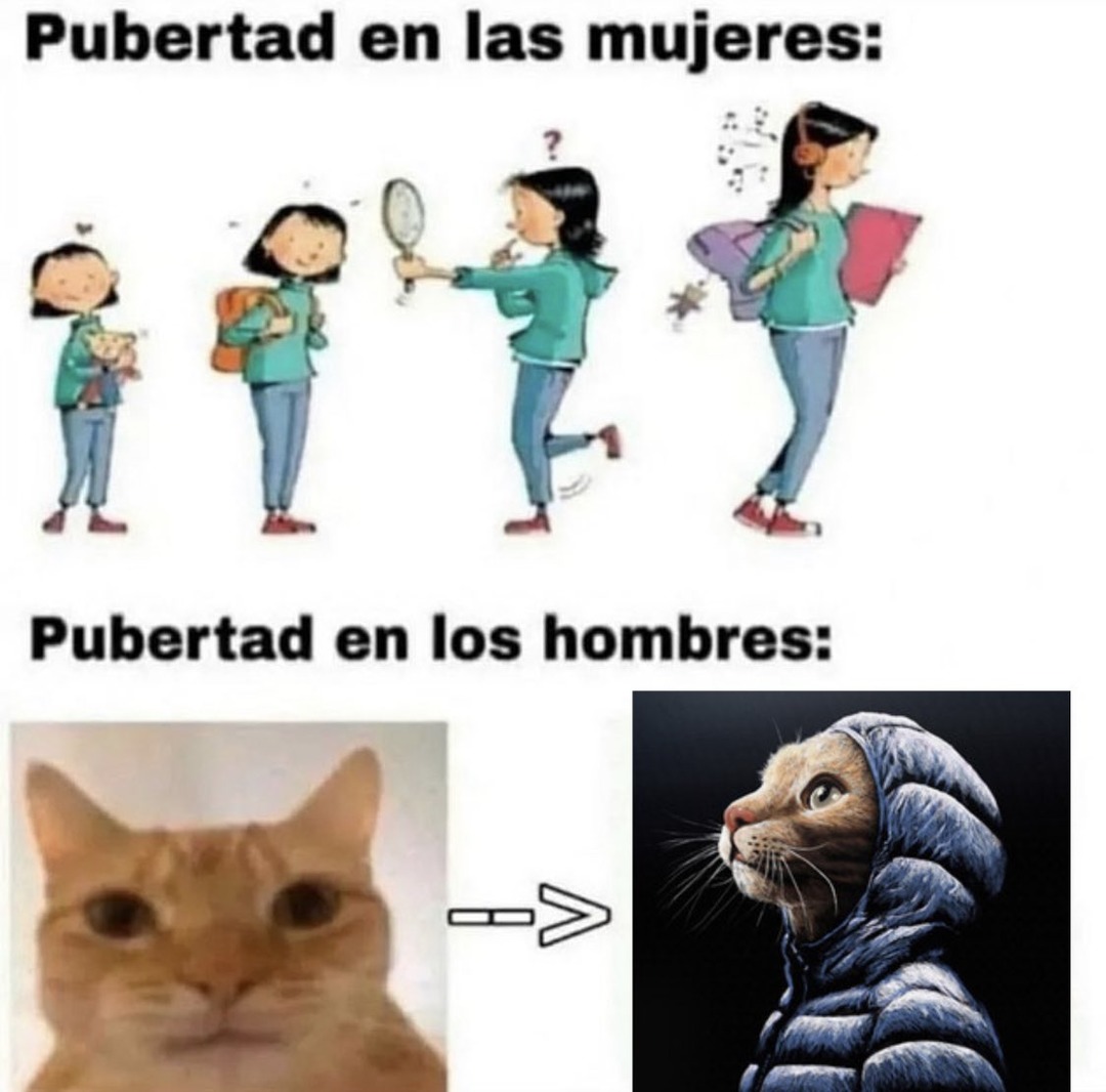 Últimos memes :) Memedroid