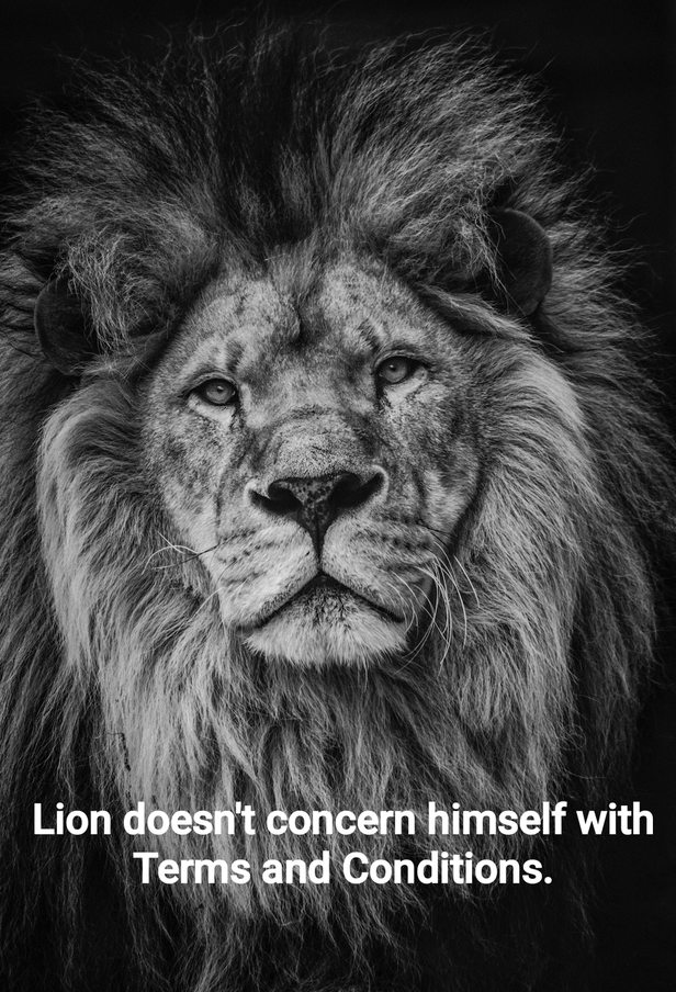 The best Lion memes :) Memedroid