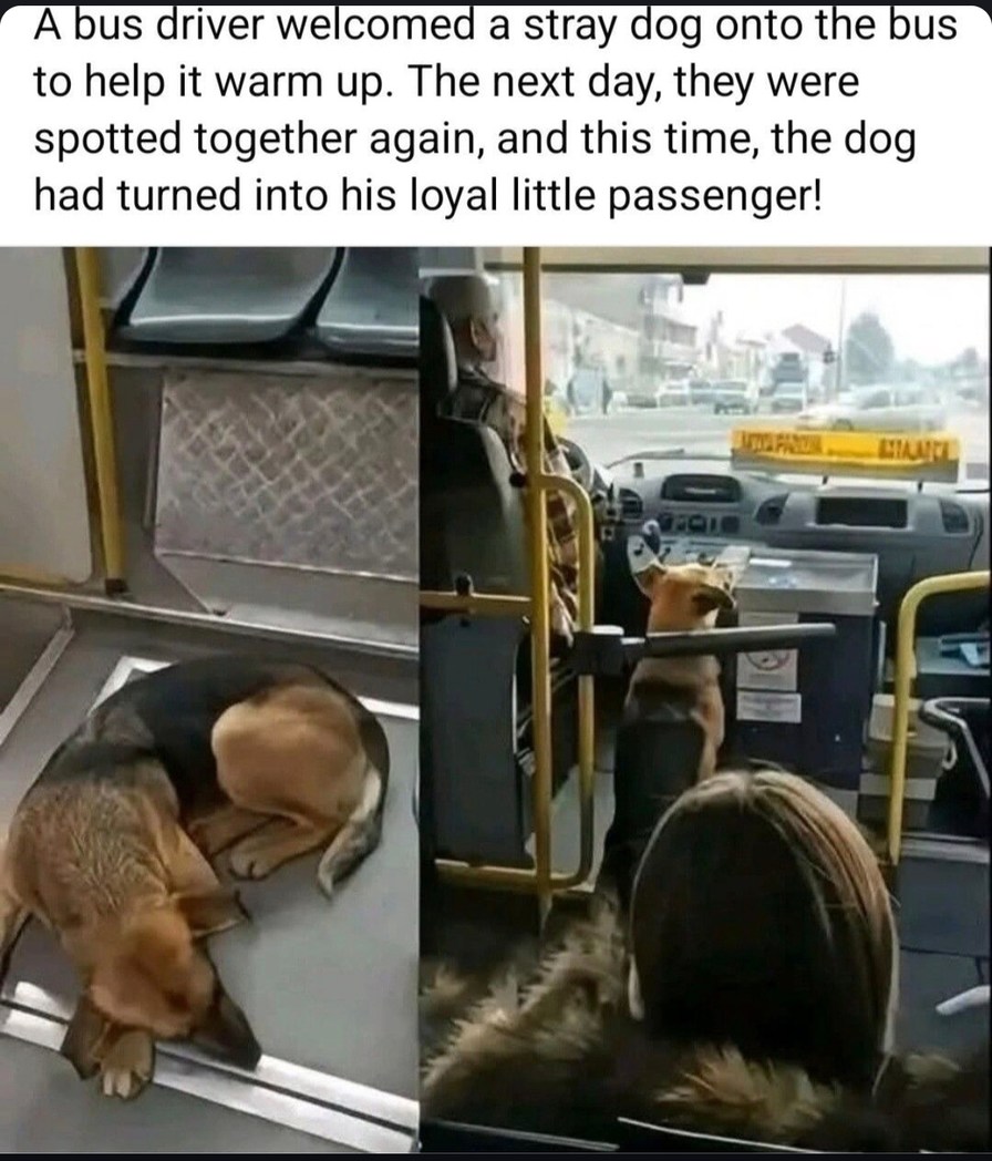 The best memes of the day :) Memedroid