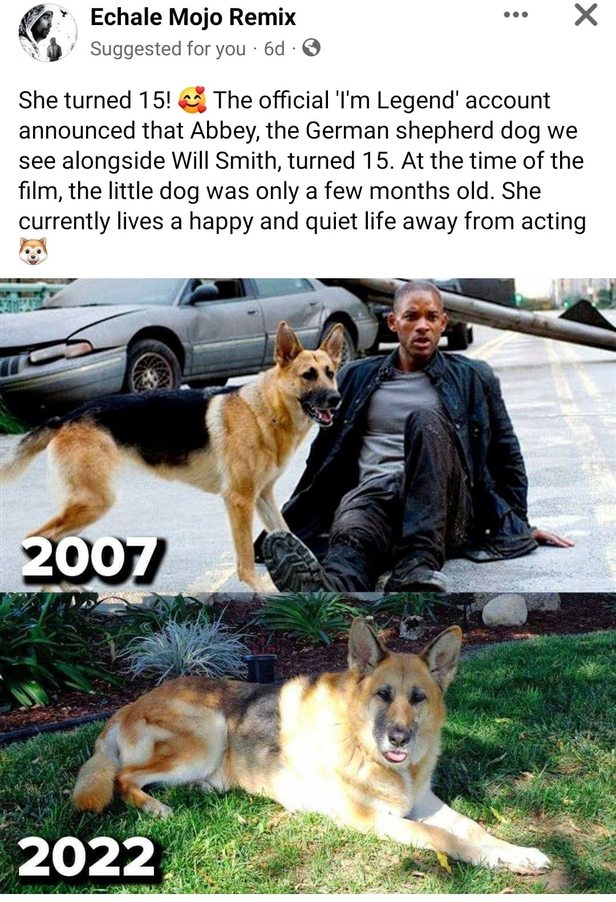 Abbey - Meme by tamikins123 :) Memedroid