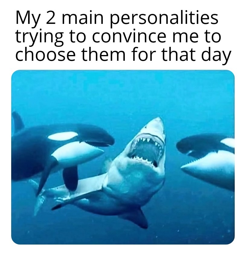 The Latest Memes :) Memedroid