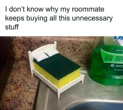 Stupid Roommate Memes