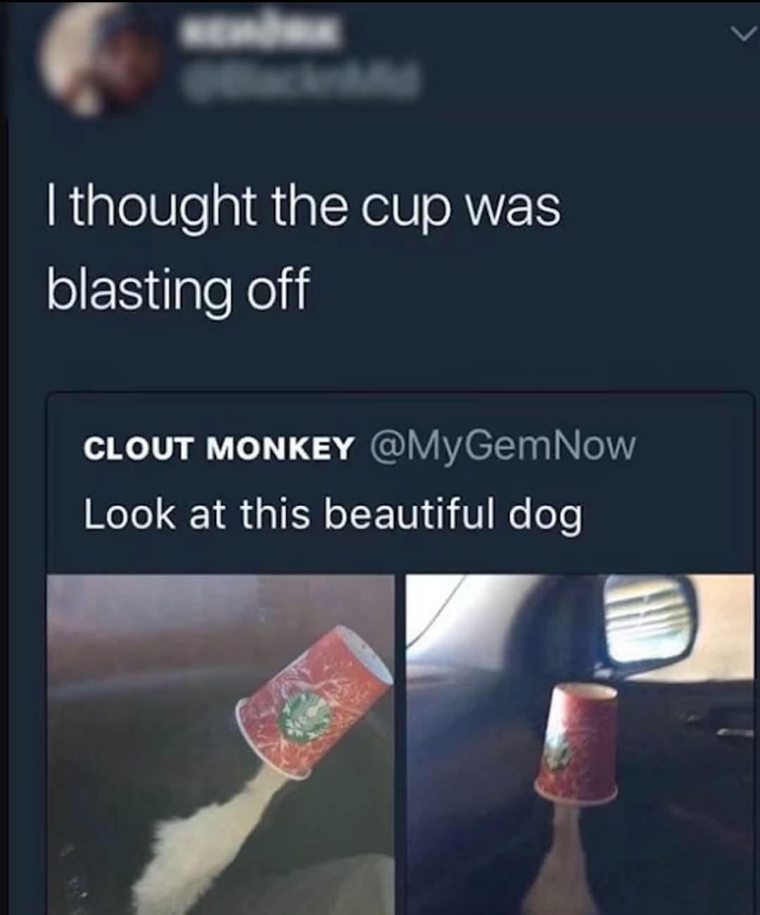 The best Lolol memes :) Memedroid