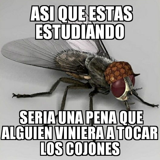 Moscas - Meme by Nekwolf :) Memedroid