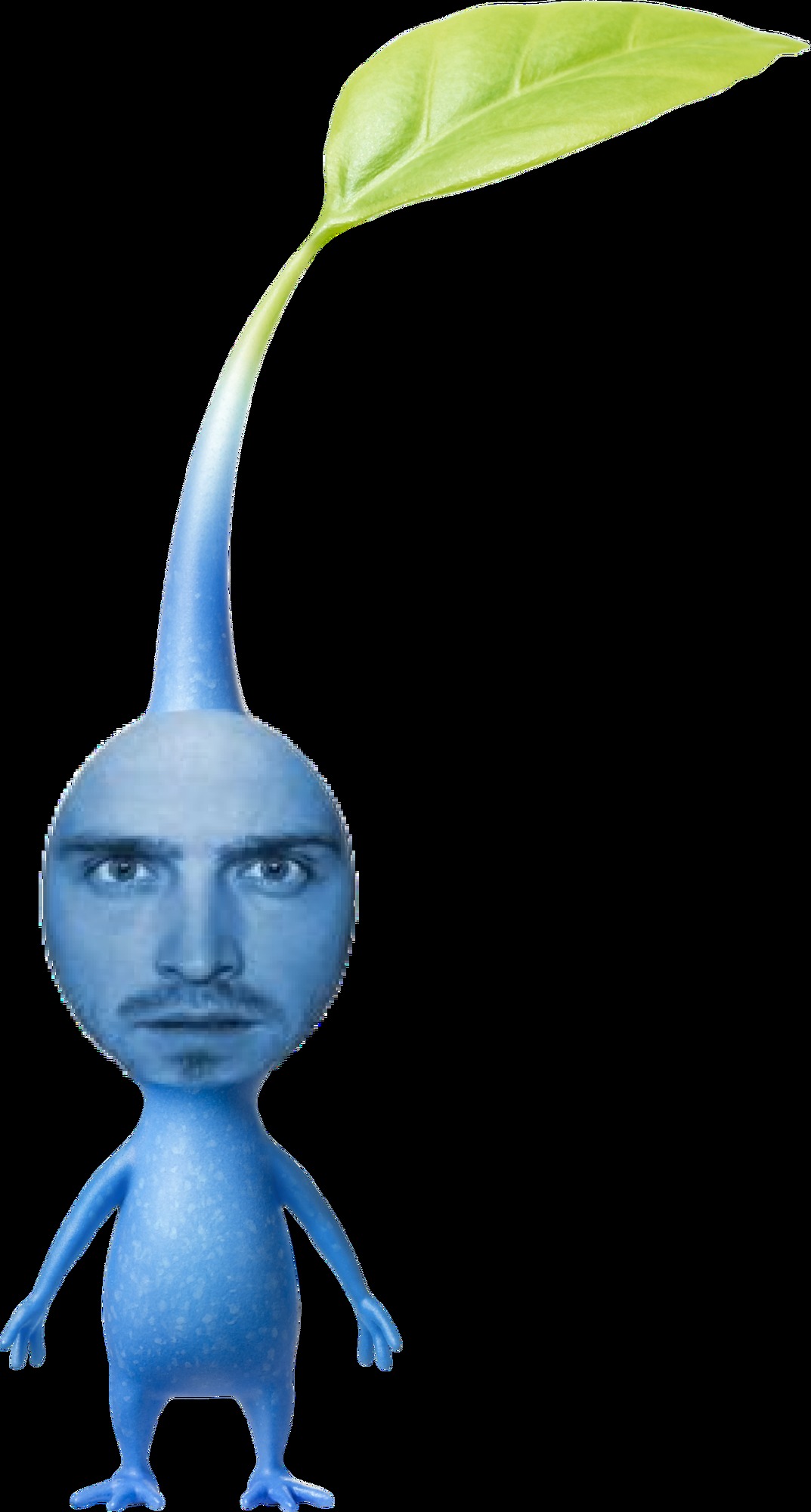 Pikmin Memes 36 Pikmin Ideas In 2025 | Silly Images, Reaction