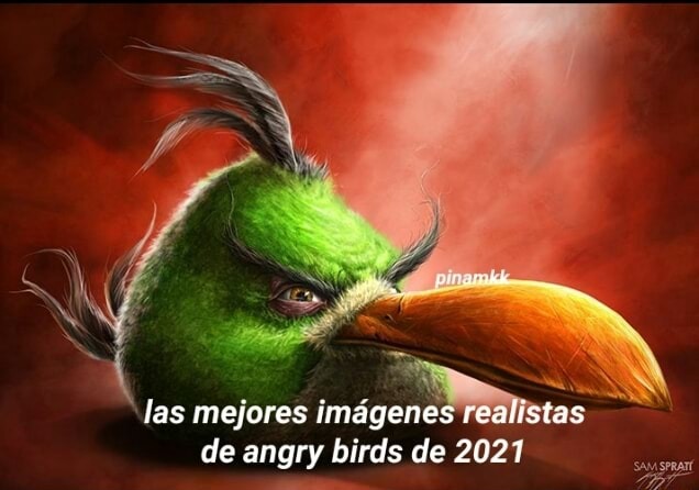 Top memes de Angry Birds Realistico en español :) Memedroid