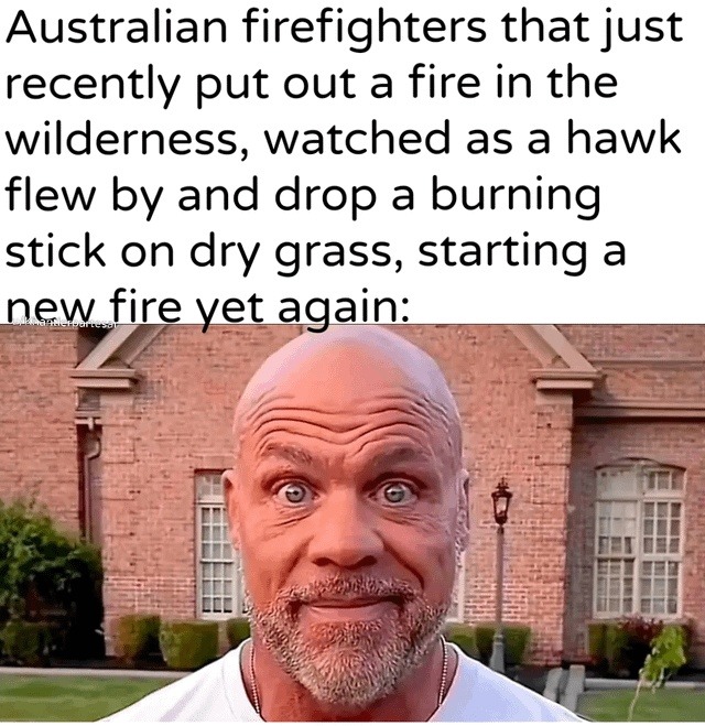The best Australia memes :) Memedroid