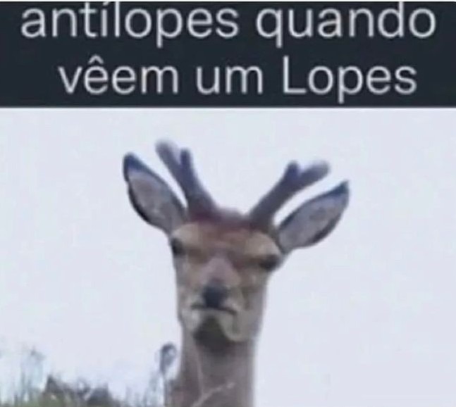 The Latest Memes :) Memedroid