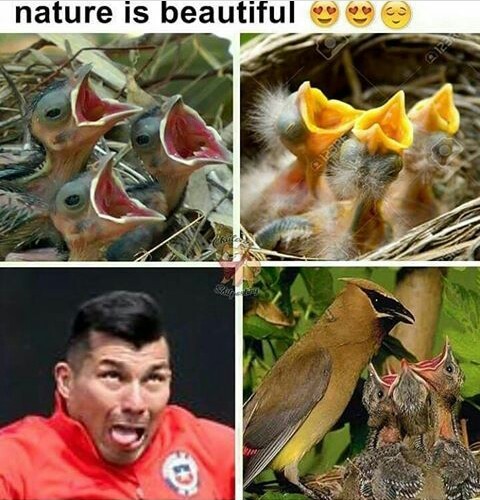 Es... Hermoso :') - Meme subido por CataHD_ :) Memedroid