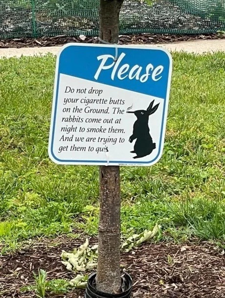 The best Smoking memes :) Memedroid