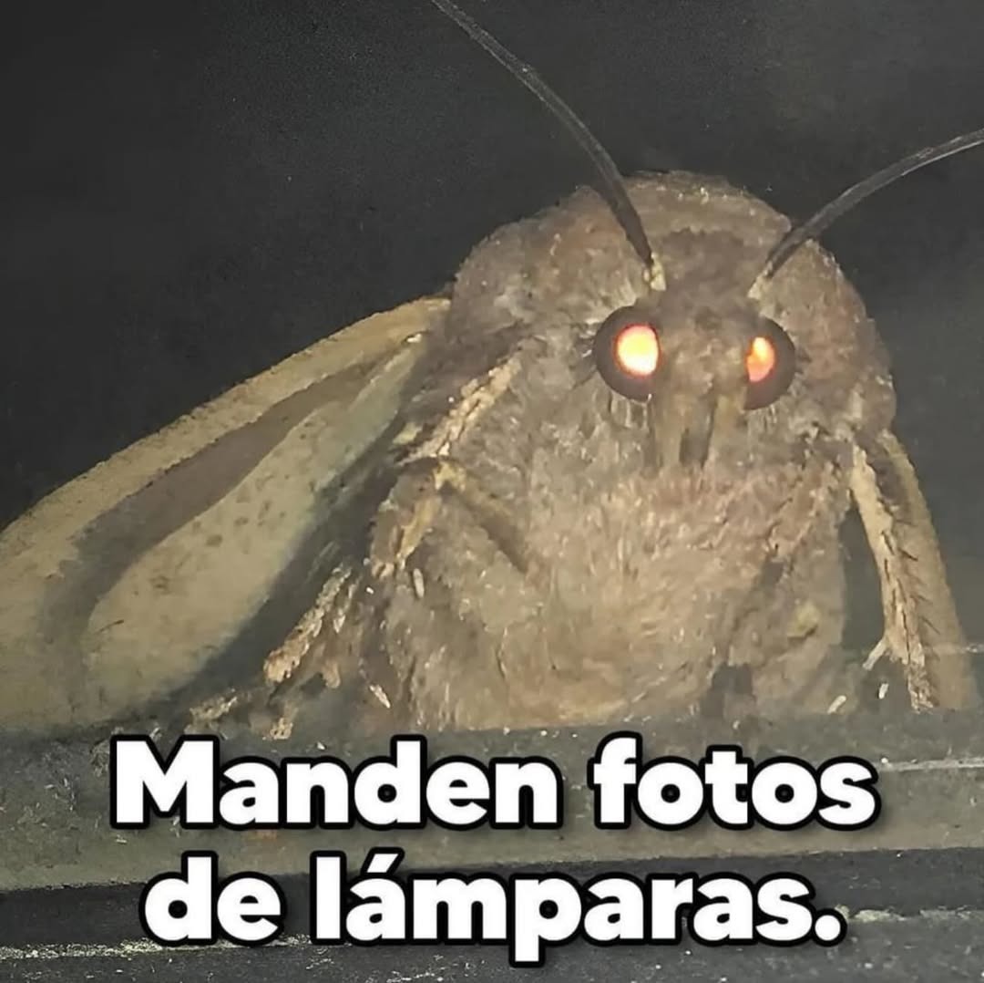 Top memes de Chat Random en español :) Memedroid