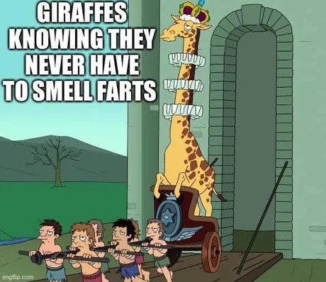 The best Giraffe memes :) Memedroid