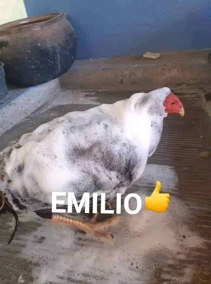 Emilio - Meme subido por Saxooo :) Memedroid