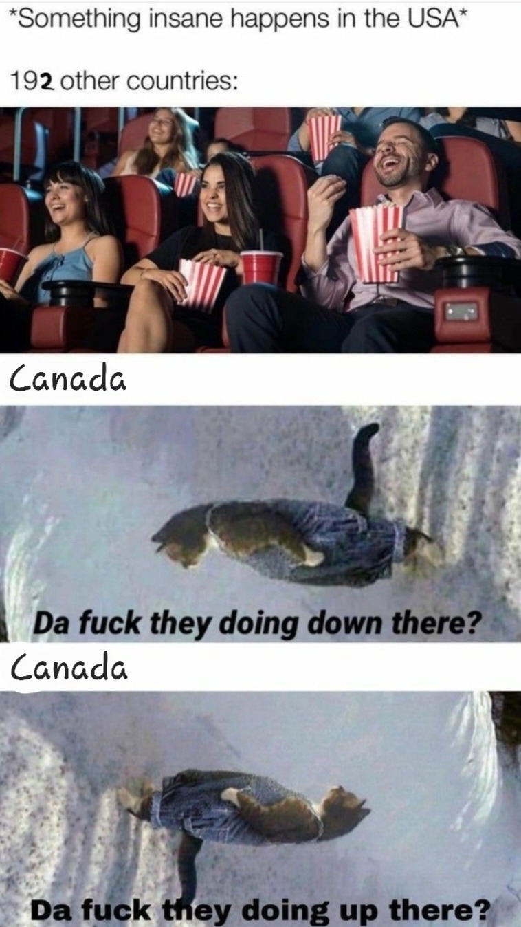 The Latest Memes :) Memedroid