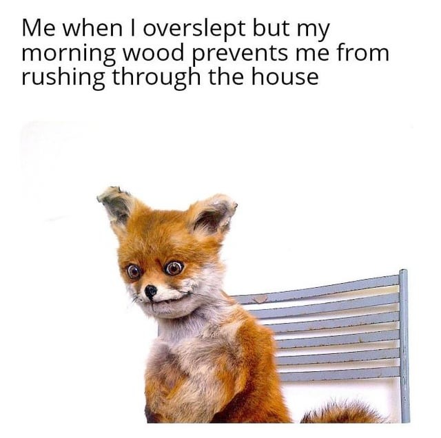 The best Oversleep memes :) Memedroid